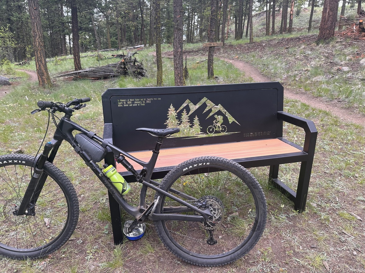 2022 Rocky Mountain Bicycles Element C50
