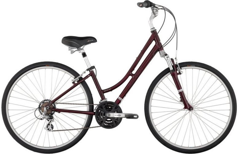 Stolen 2011 Raleigh Route 3.0