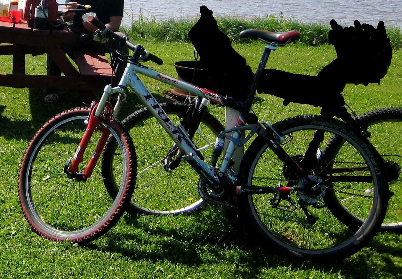 Stolen 2001 Trek Fuel 98