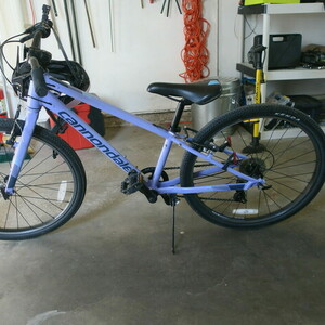 2019 Cannondale Quick 24