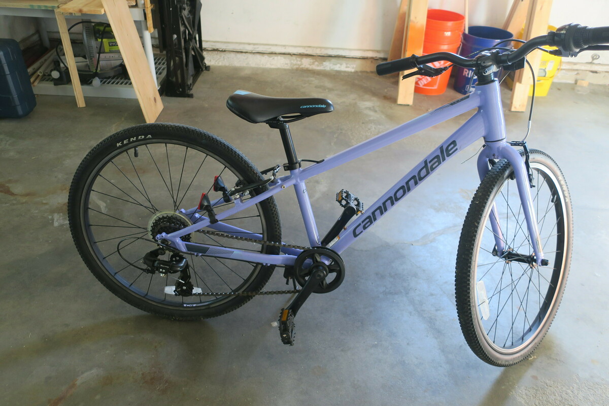 2019 Cannondale Quick 24