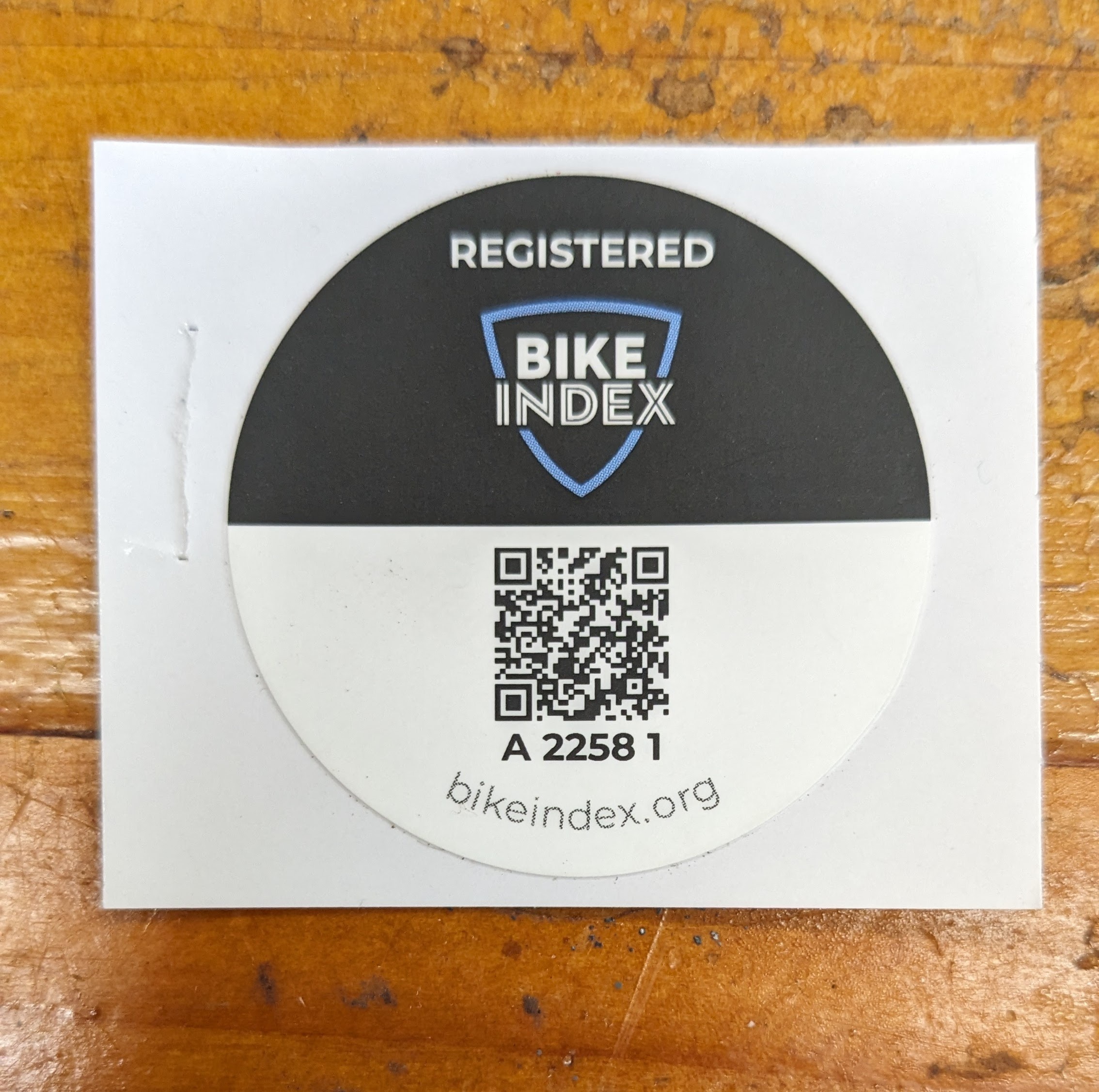 2024 KHS Bicycles BNT XXXL