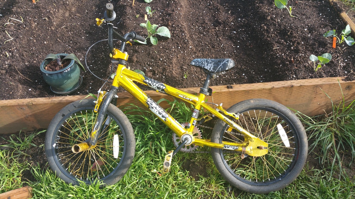 2013 Avigo Freestyle