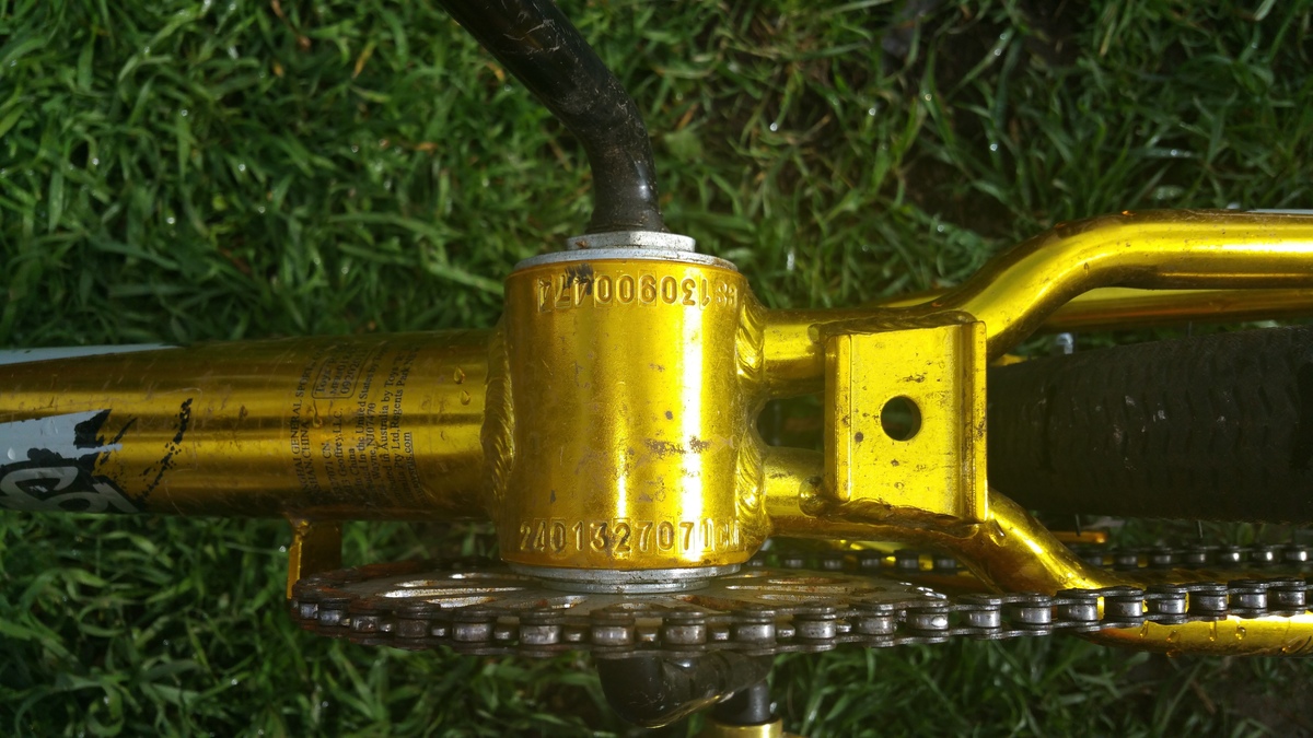 2013 Avigo Freestyle