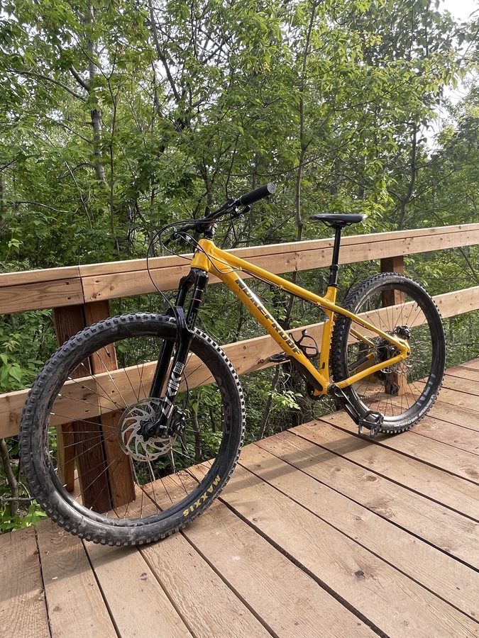 2022 Nukeproof Scout 290