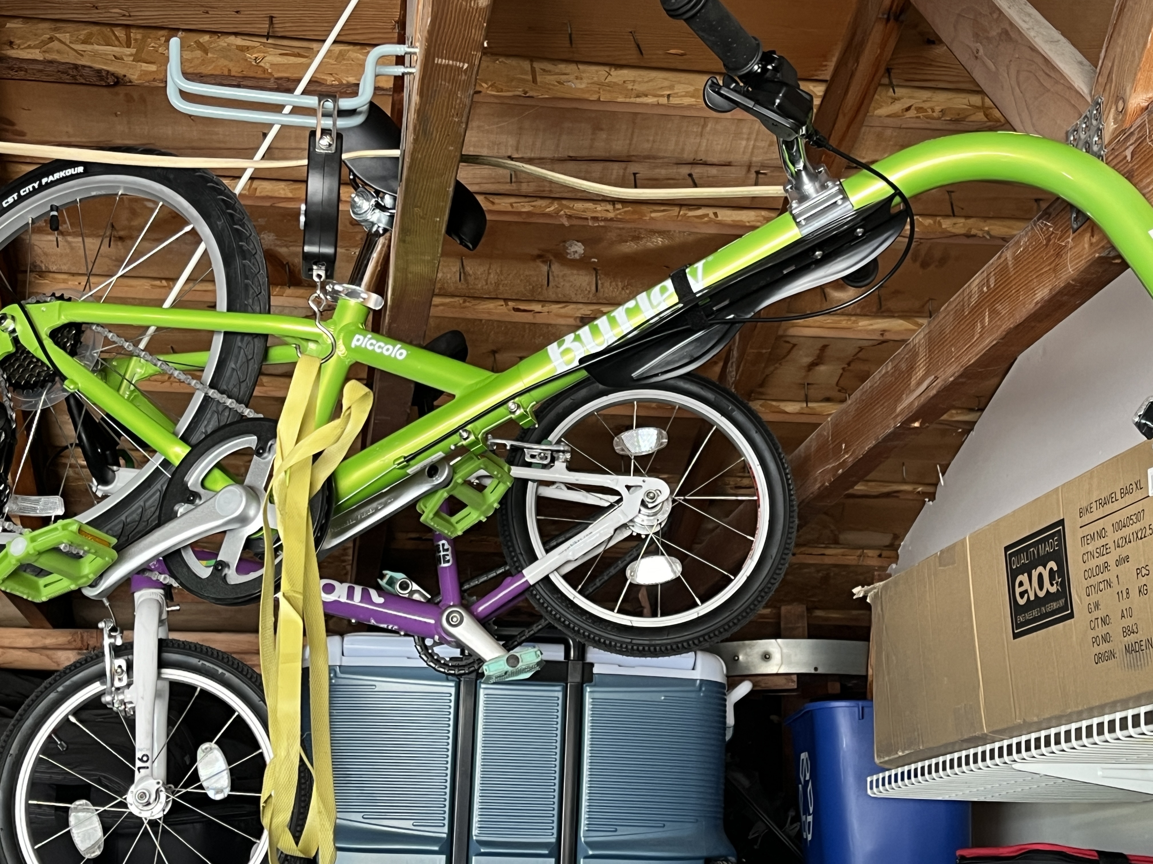 2024 Burley Design Piccolo