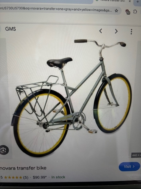 Stolen 2010 Novara Transfer One