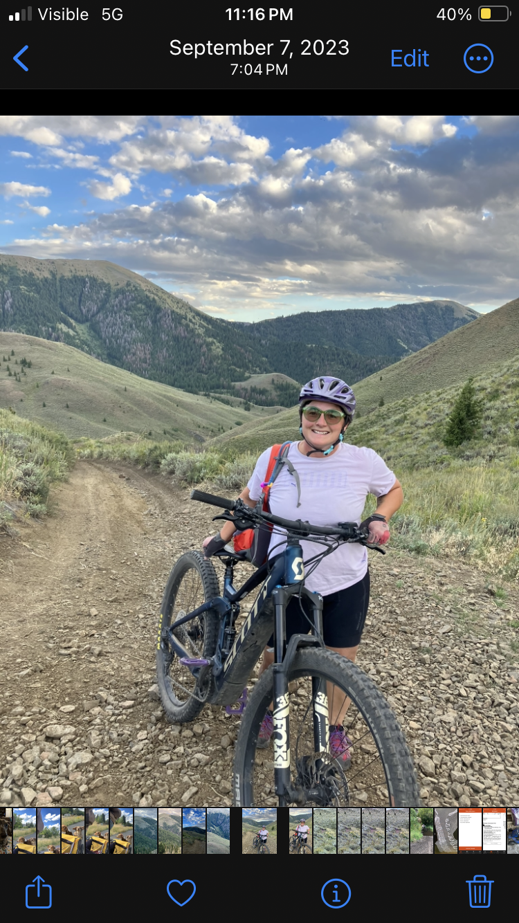 Stolen SCOTT SCO Bike Genius eRide 920 INT