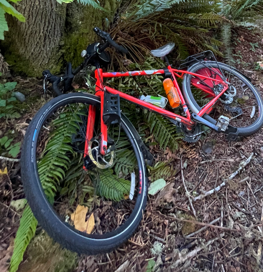 Stolen 2020 Salsa Vaya GRX 600