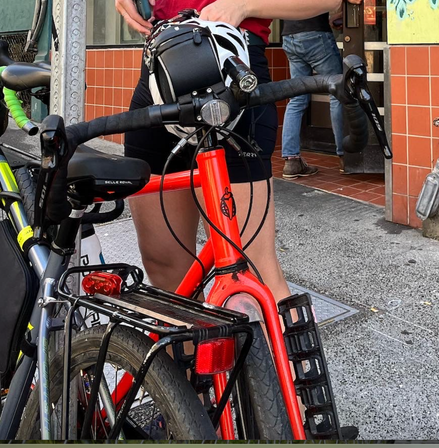 Stolen 2020 Salsa Vaya GRX 600