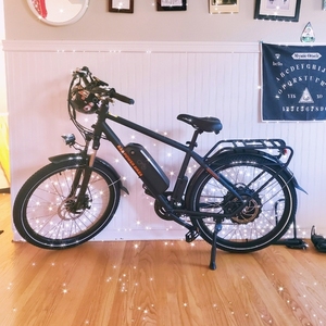 2020 Rad Power Bikes Rad City 4