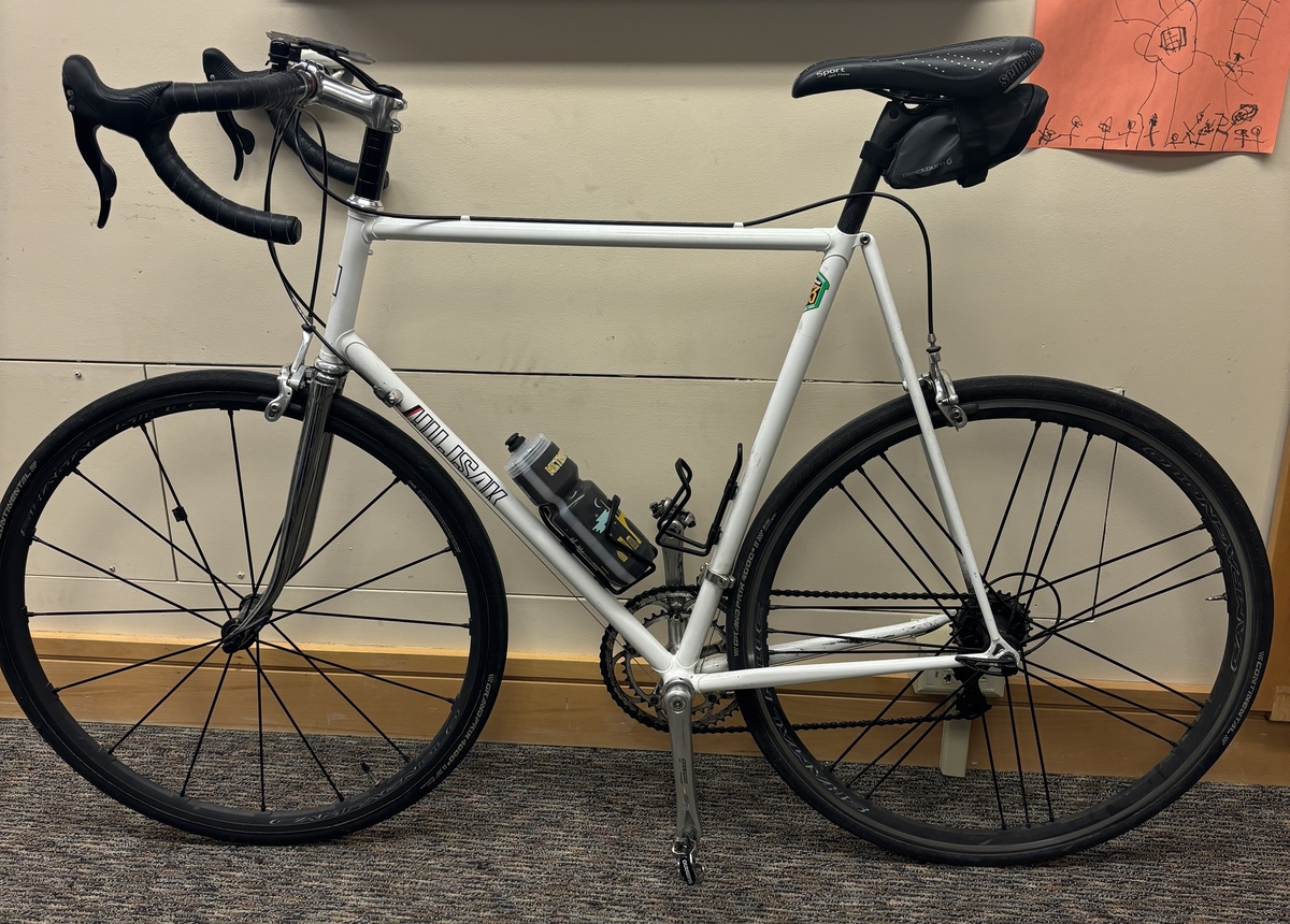 1996 Hujsak Road/Racing Frame