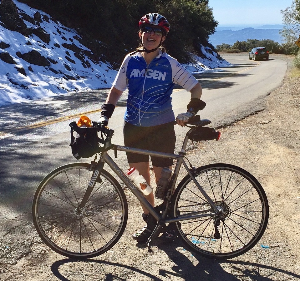 Stolen 2014 Lynskey R230