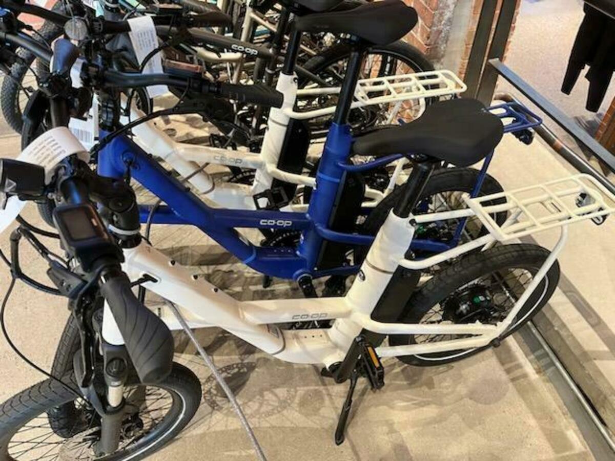 Stolen REI Co-op Generation e1.1 Electric Bike cargo bike rear