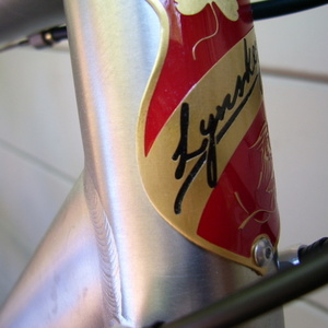 Stolen 2014 Lynskey R230