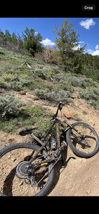 Stolen 2018 Intense Primer Bandit Edition