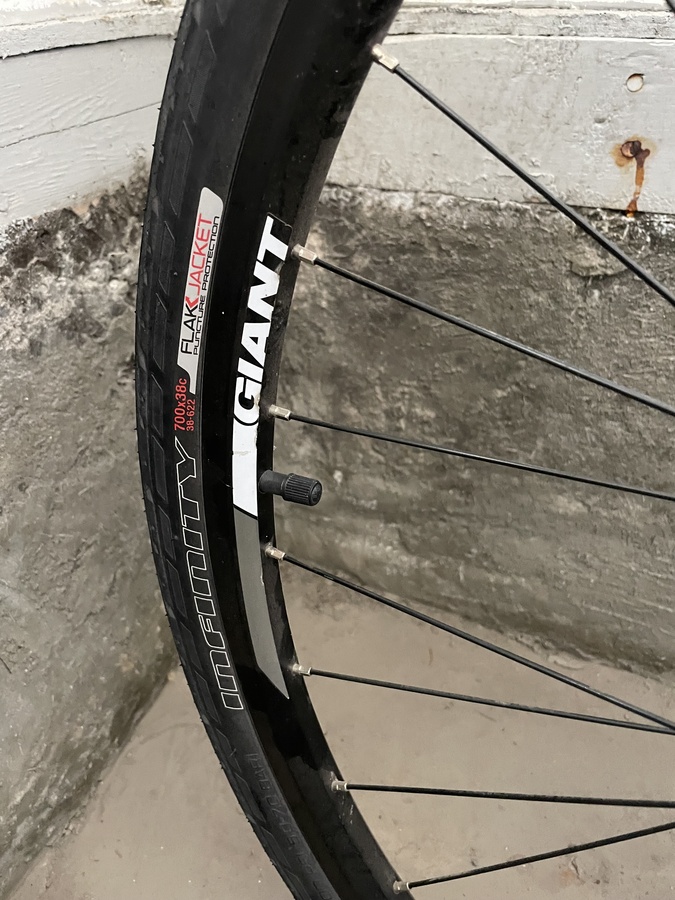 2016 Giant Giant 2