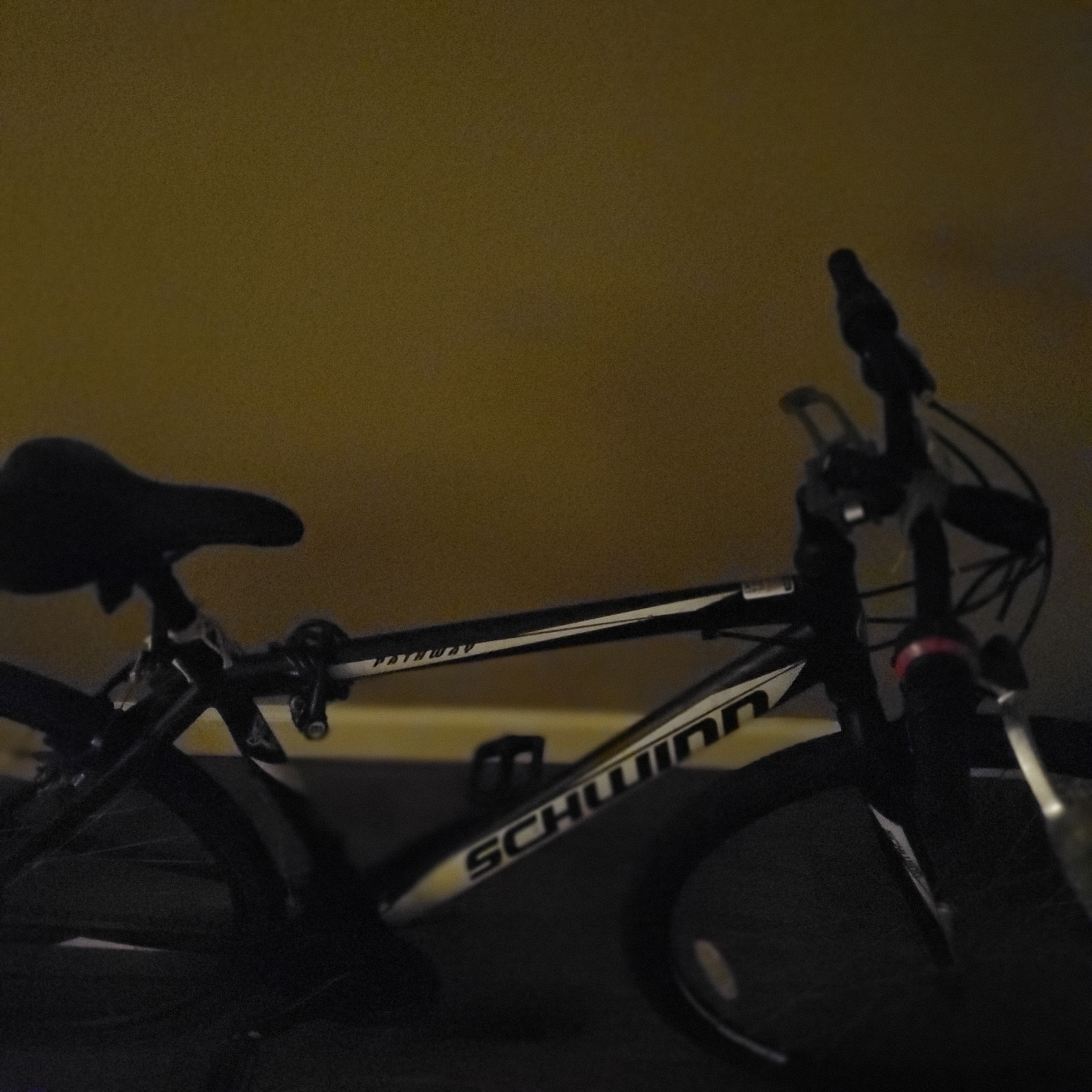 Pacific Cycle Schwinn