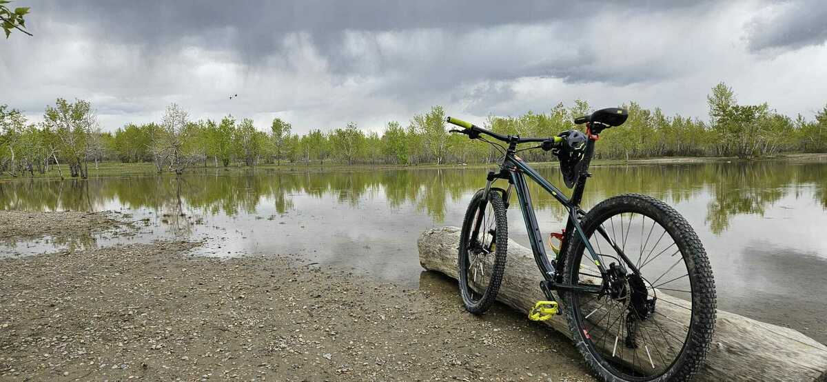 Stolen 2021 Kona Lavadome 29 XLG