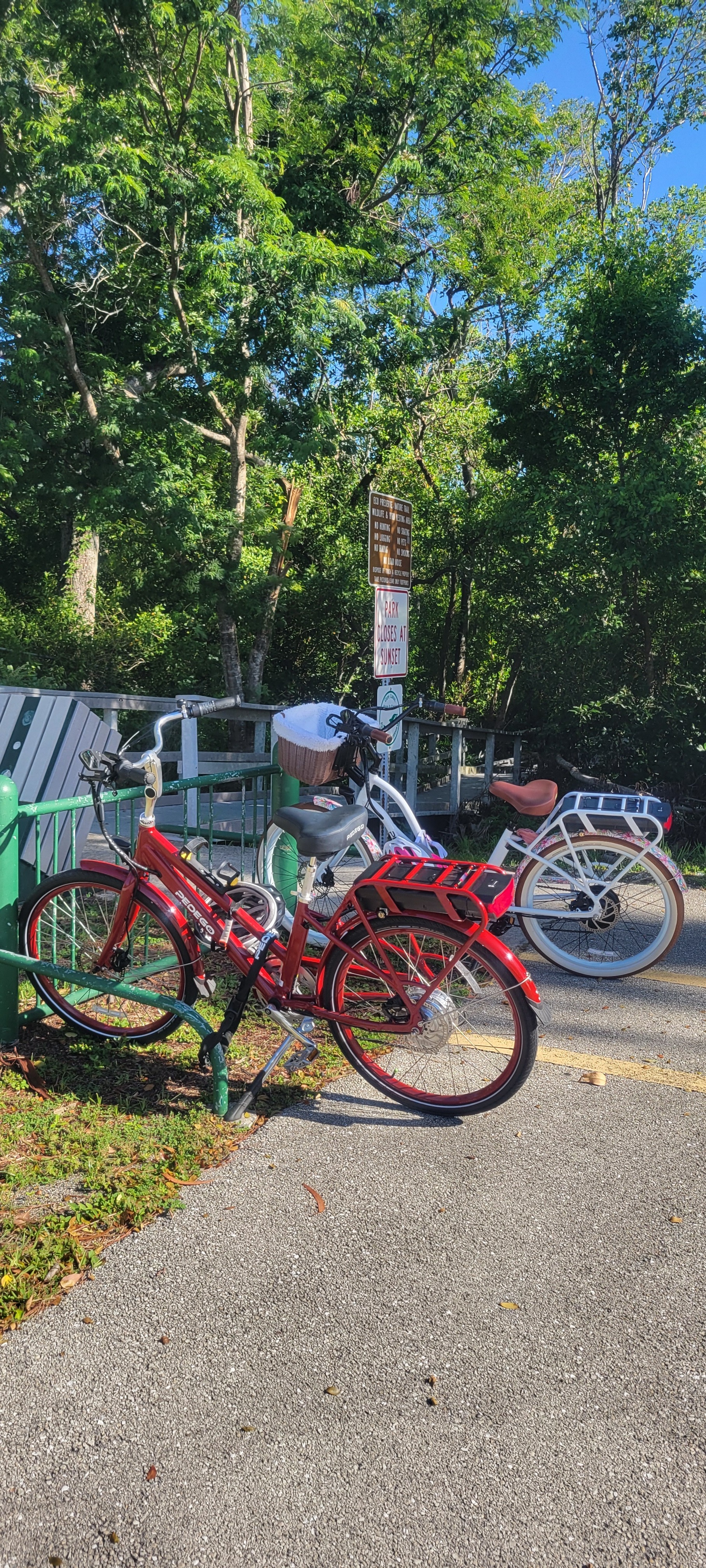 2024 Pedego City Commuter Step Thru
