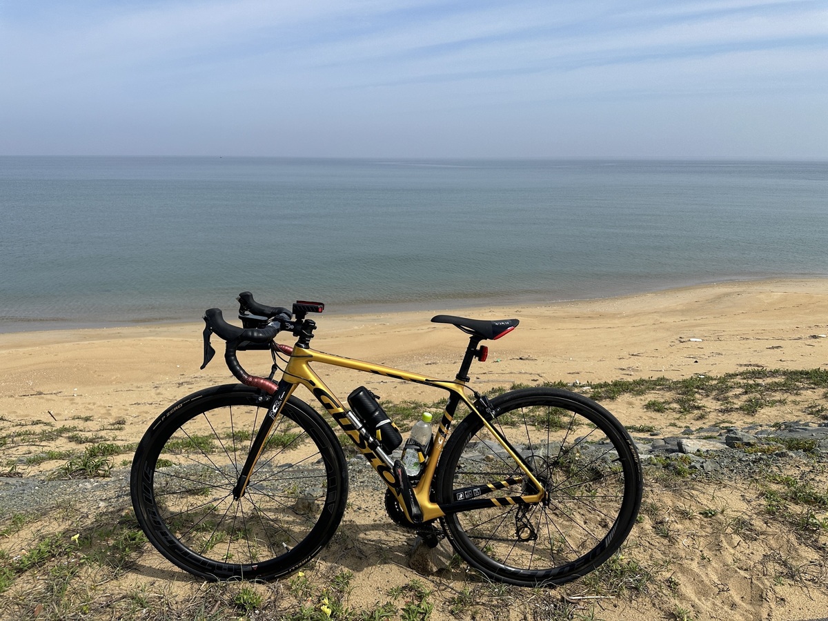 2019 GUSTO Team limited