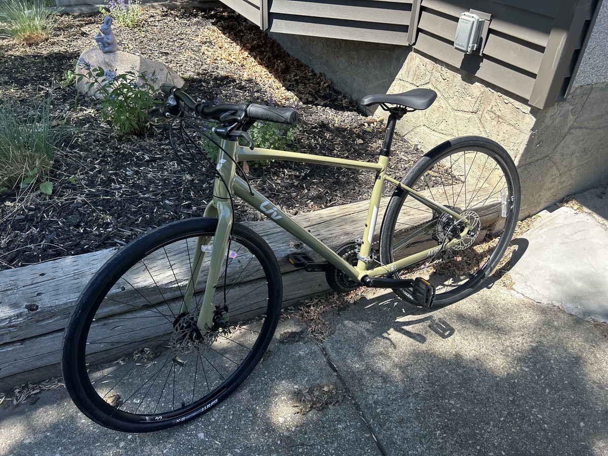 2024 Liv Alight 3 City Hybrid Bike