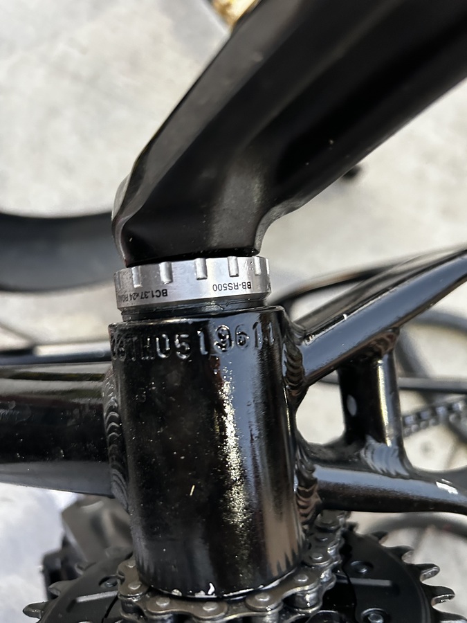 Stolen 2024 Throne Cycles Black ice