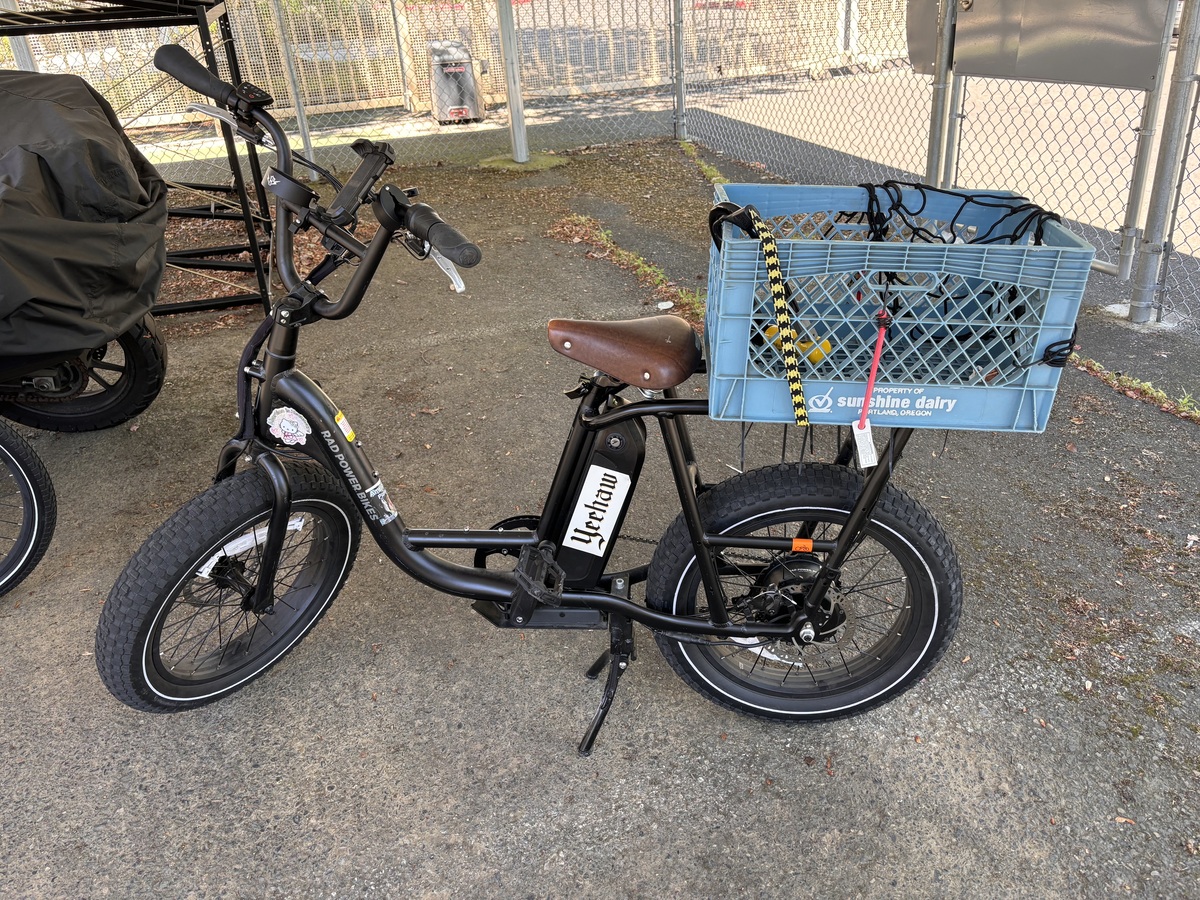 Rad Power Bikes RadRunner2