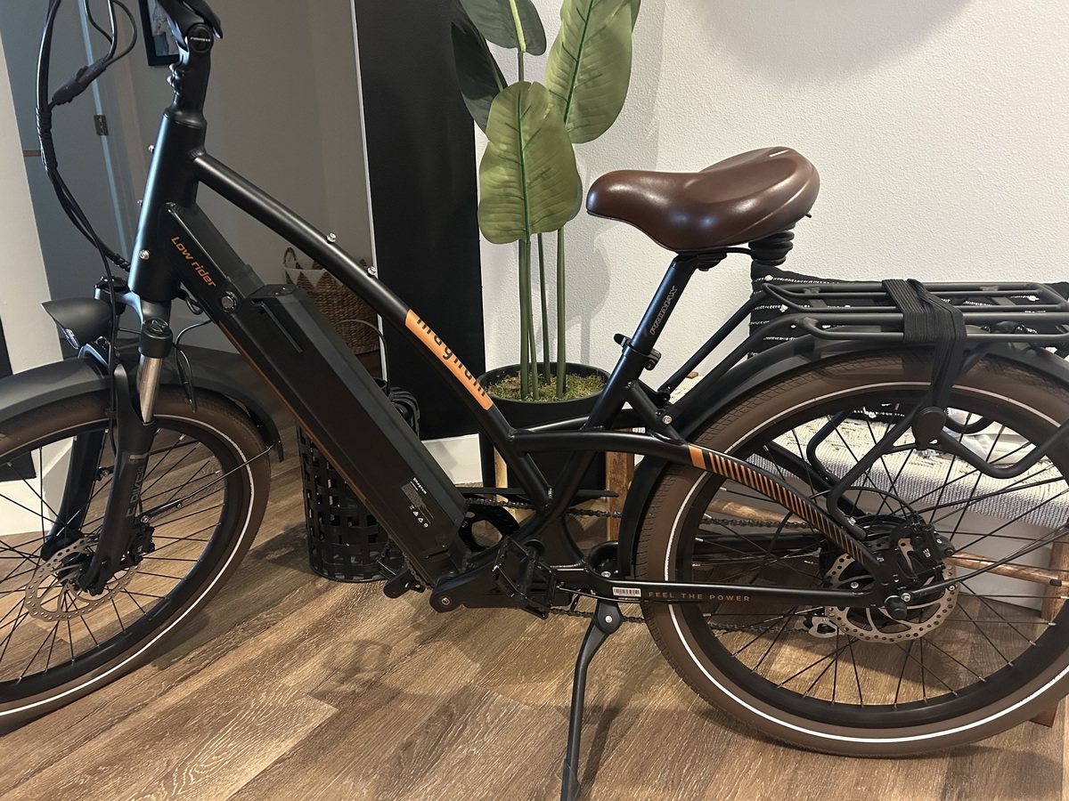 2024 Magnum Bikes Low rider