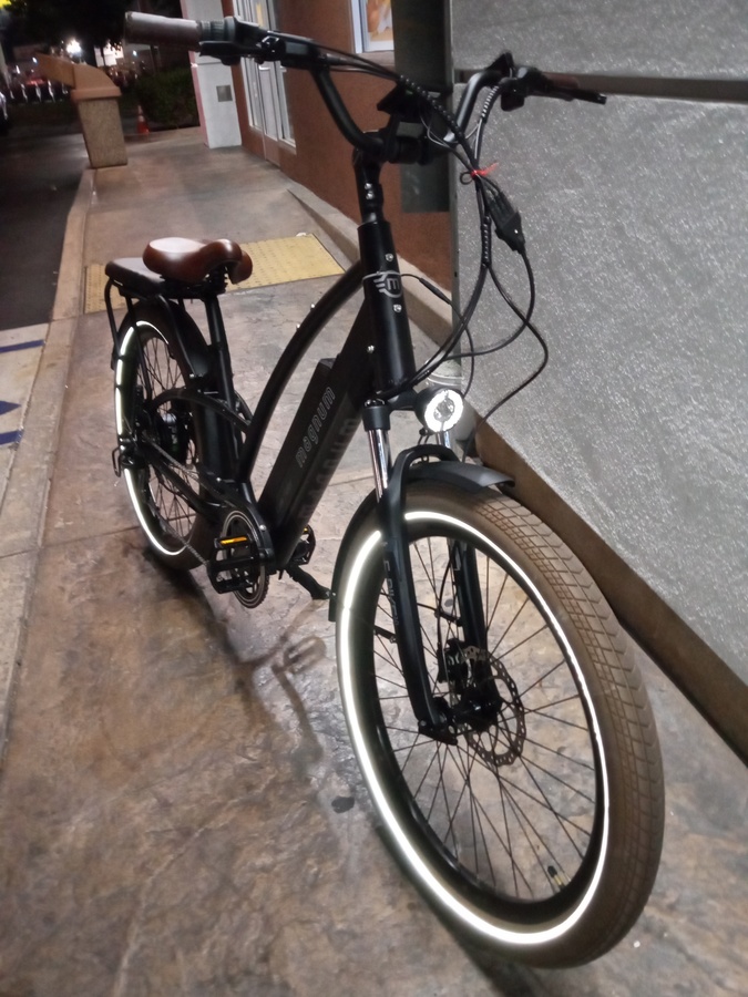 Magnum Bikes Low rider