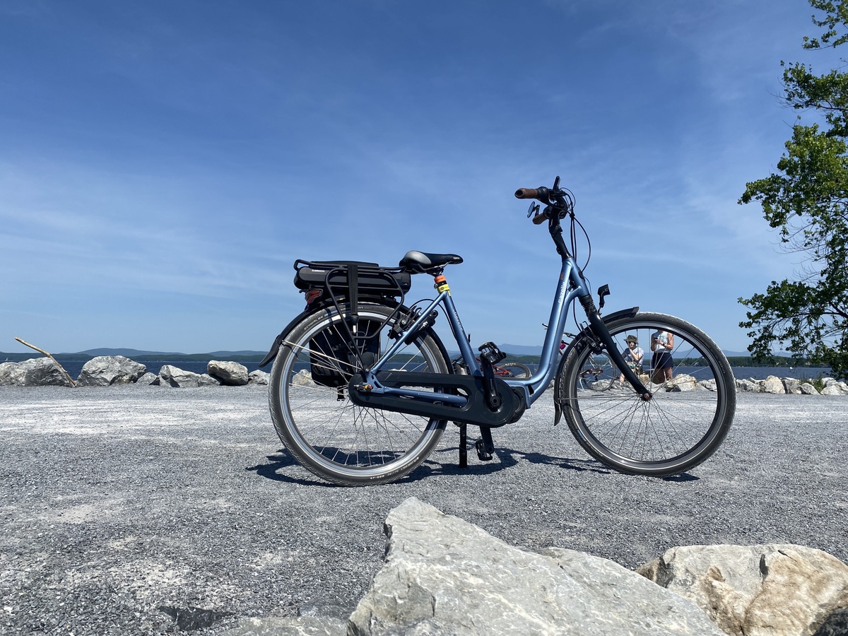 2020 Gazelle Step Through