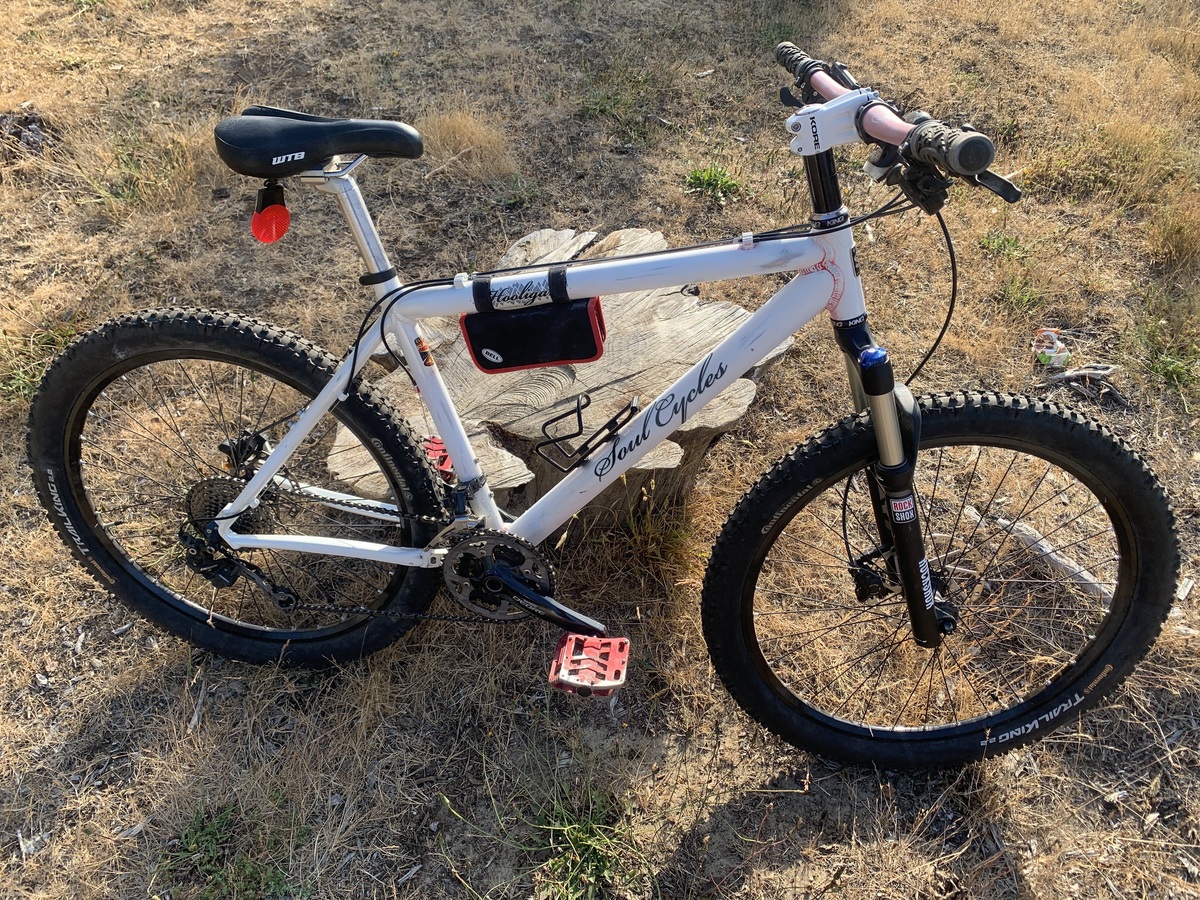 2009 SC Bicycles Hooligan