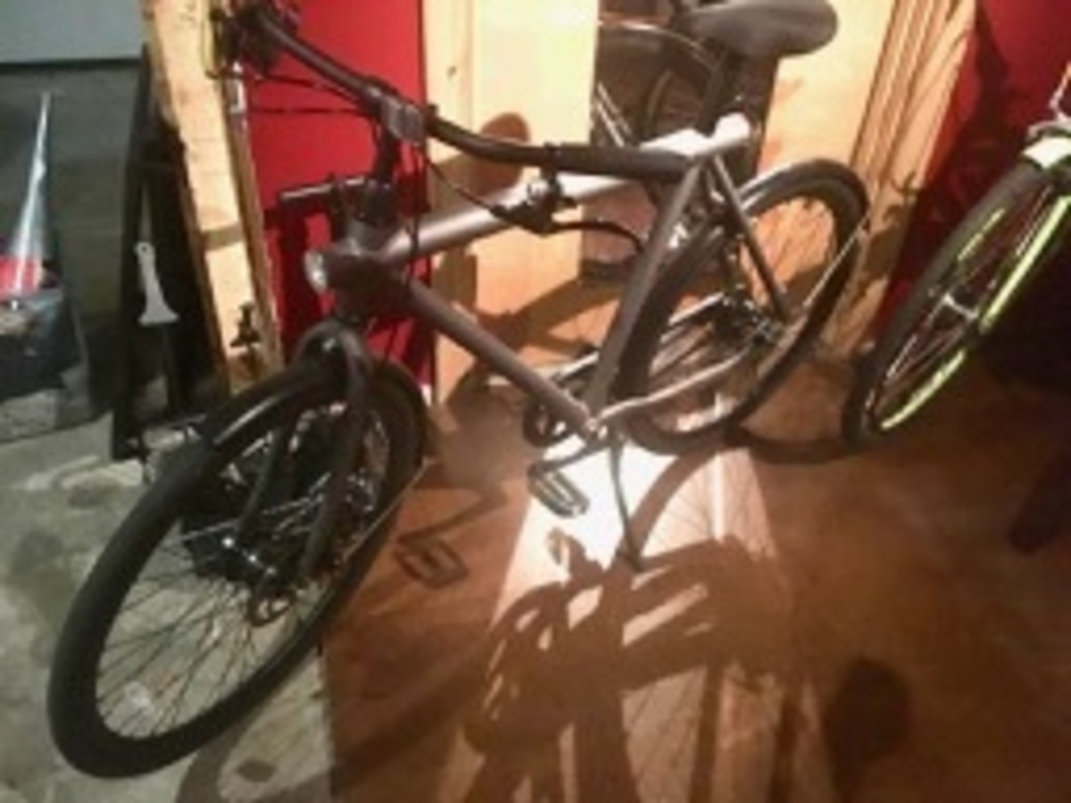 2015 Vanmoof S Series