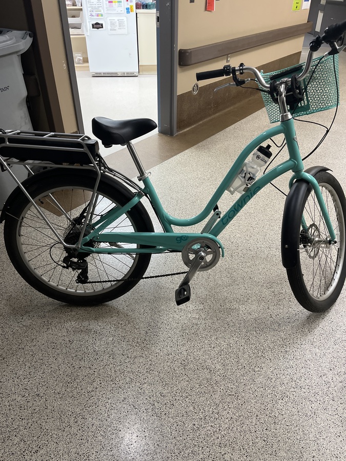 2021 Electra Townie Go! 7D step-Thru