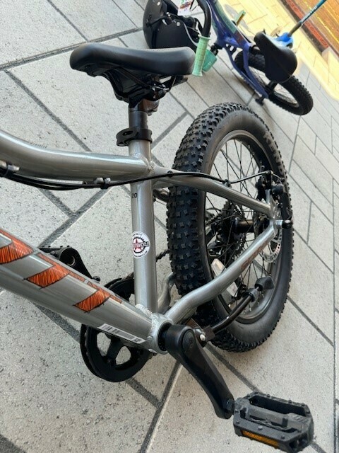 2022 SCOTT Roxter 20 OneSize Raw Alloy