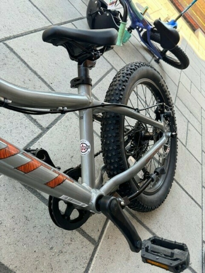 2022 SCOTT Roxter 20 OneSize Raw Alloy