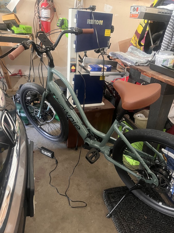 2024 Trek Townie Go! 7D Step-Thru