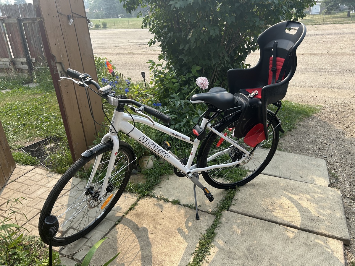 2024 Infinity Cycle Works Infinity boss.tree. disc