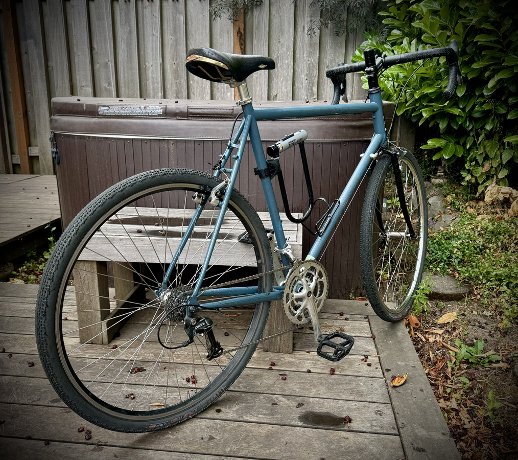2008 Surly Long Haul Trucker
