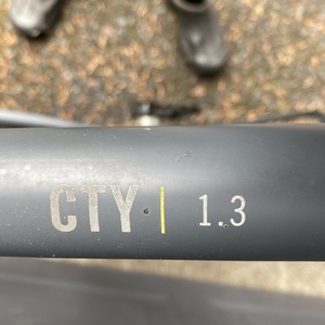 2019 REI Co-op CTIY 1.3