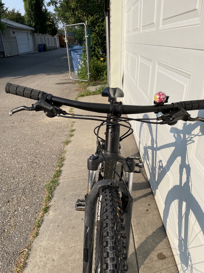 2020 Trek Marlin 6
