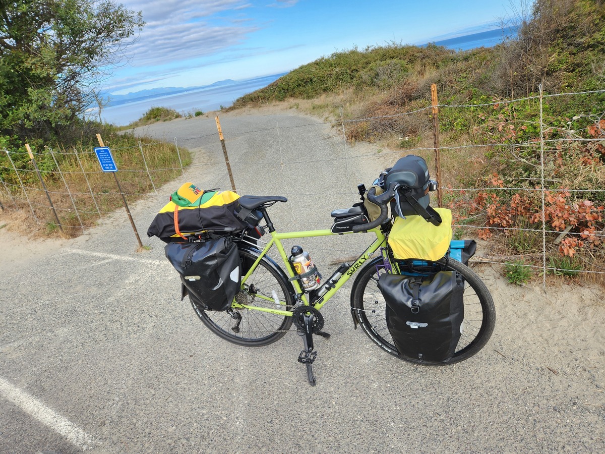 2021 Surly Disc trucker