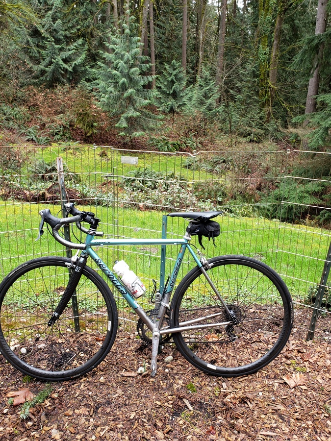 2000 Serotta Legend Ti