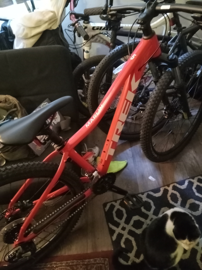 2021 Trek Marlin 5 gen 2
