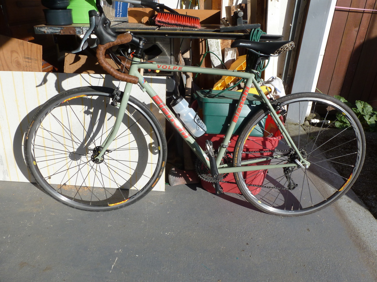 2008 Bianchi VOLPE