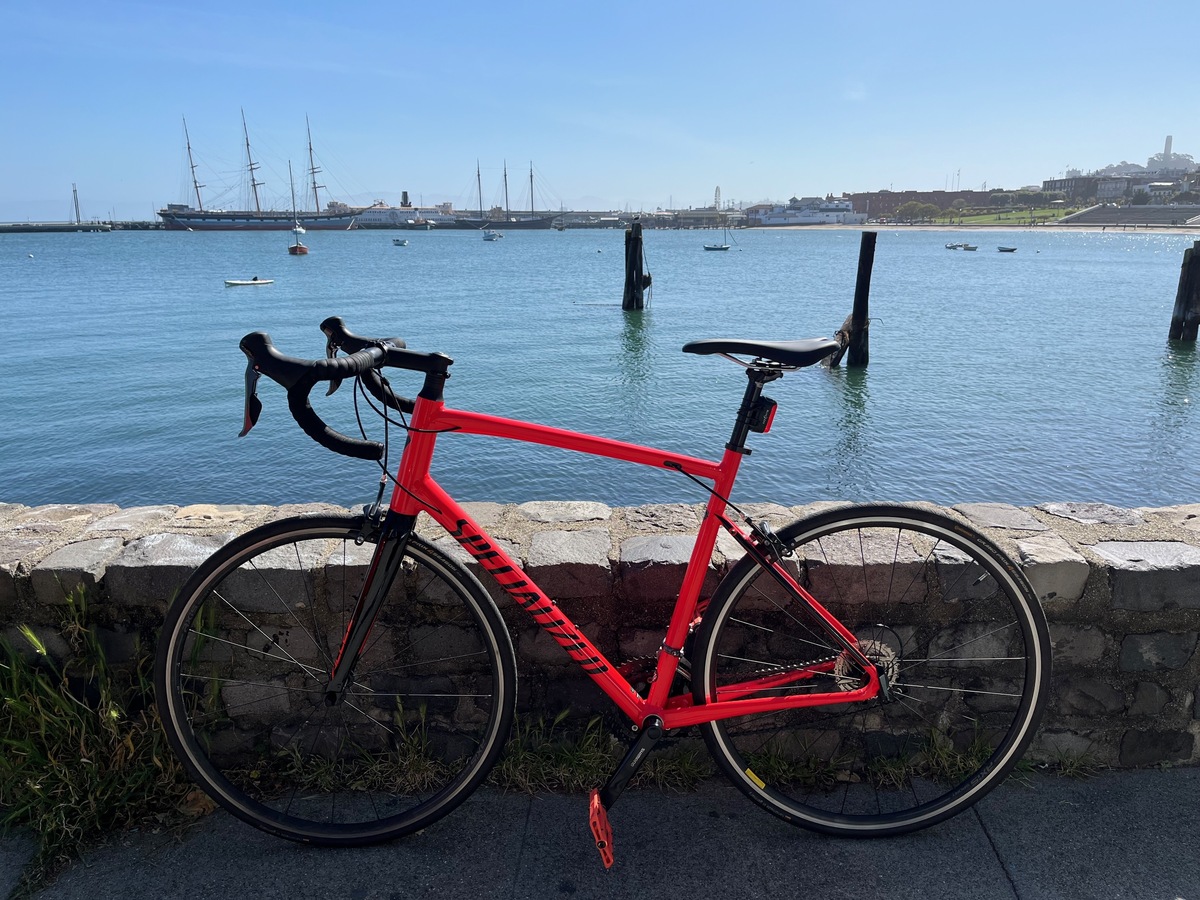 2019 Specialized Allez