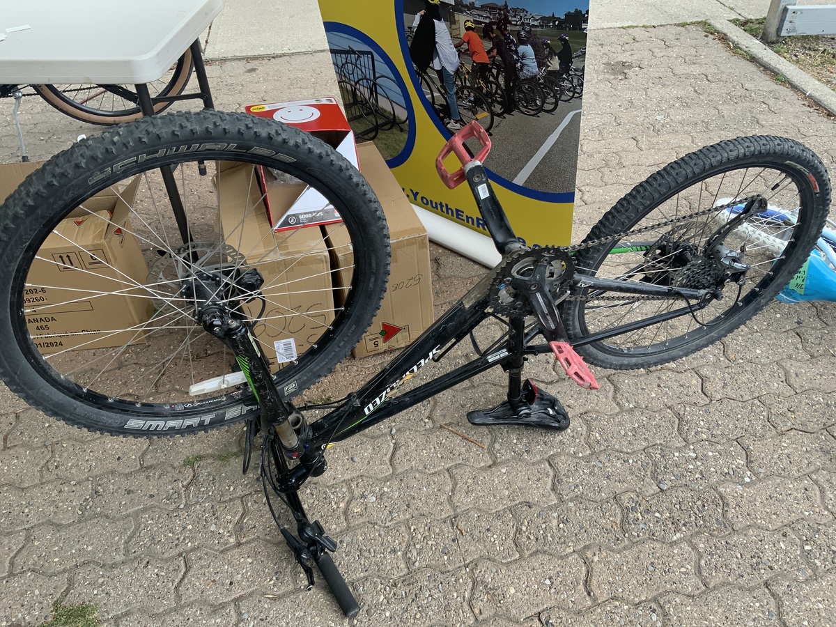 Specialized smart sam