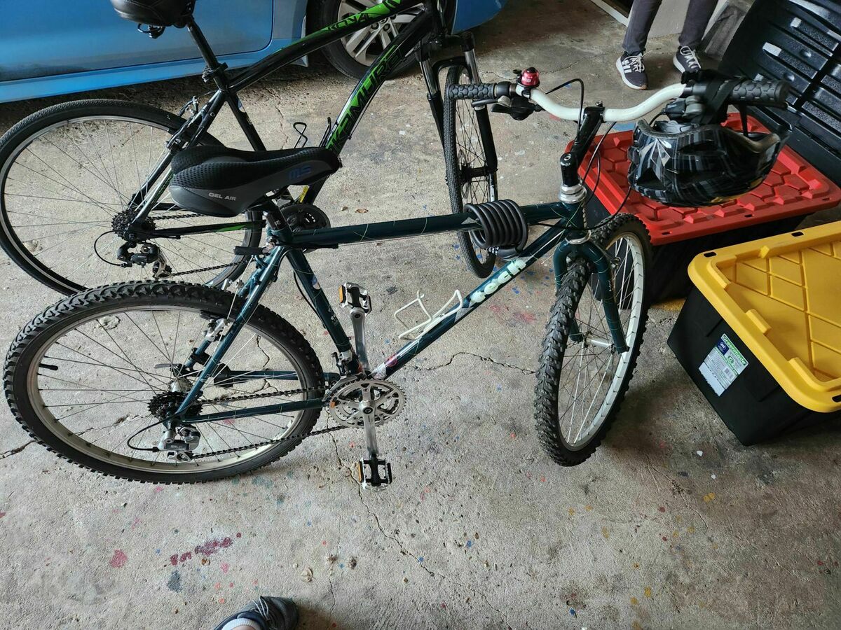 1992 Tech Wild Thing