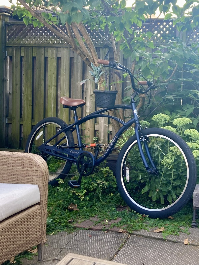 2023 Electra Cruiser