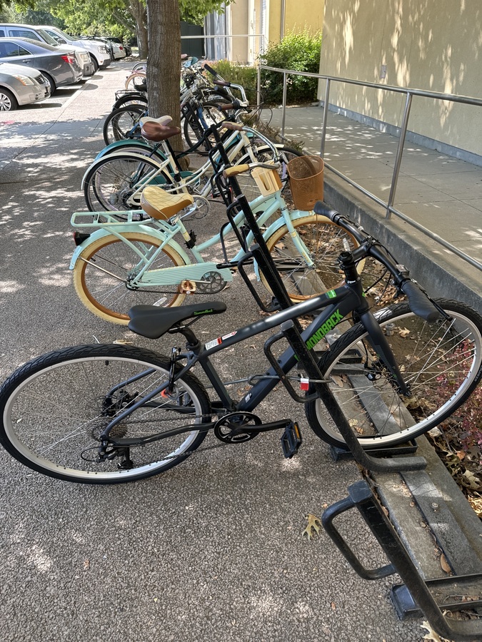 2024 Diamondback Haanjo 1